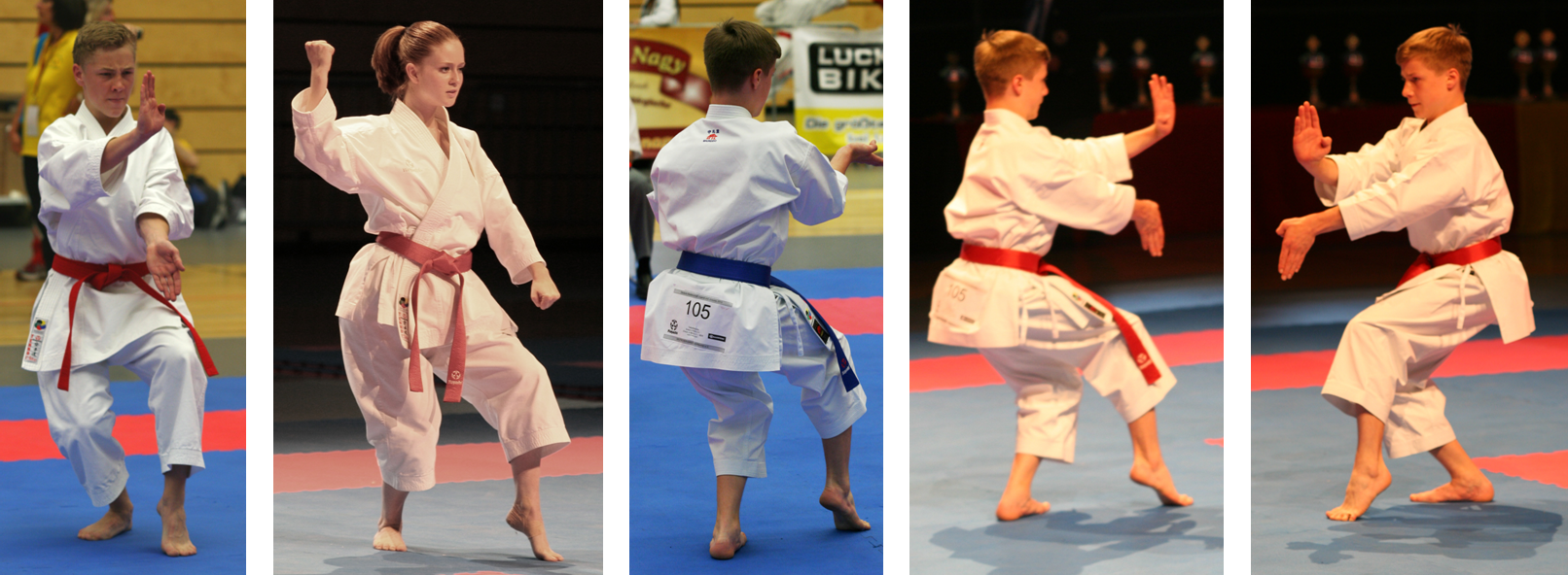 Neko Ashi Dachi – goju ryu info