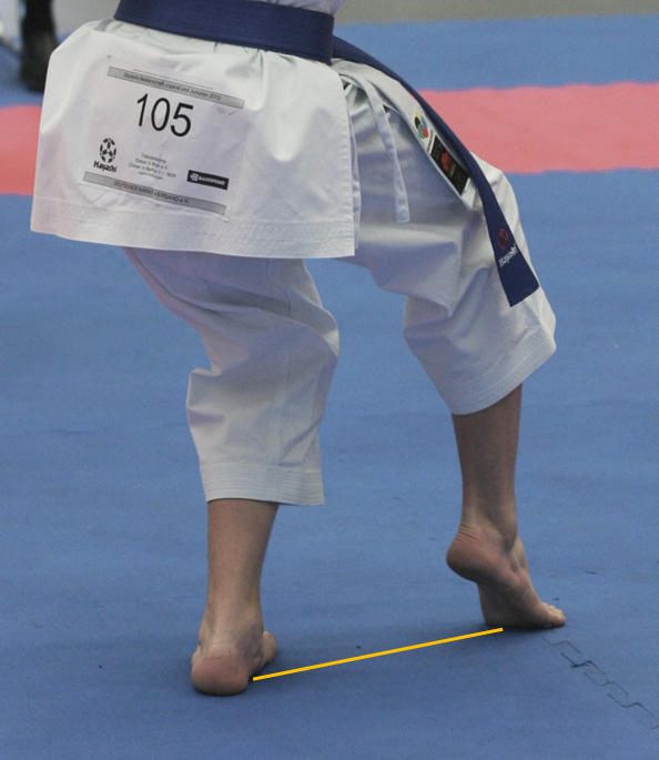 Neko Ashi Dachi – goju ryu info