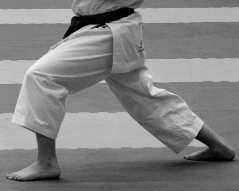 Zenkutsu Dachi – goju ryu info