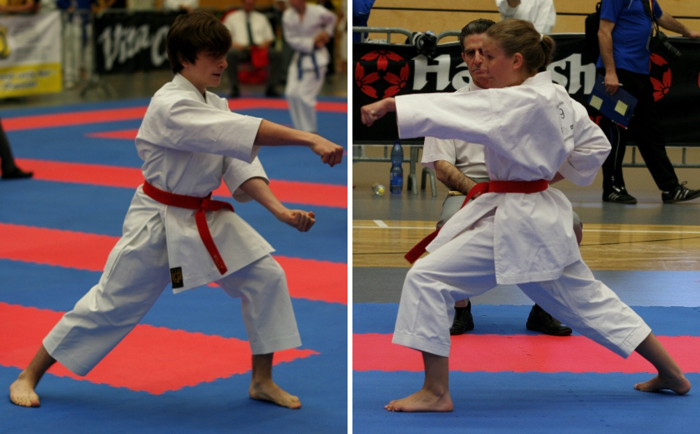 Zenkutsu Dachi – goju ryu info